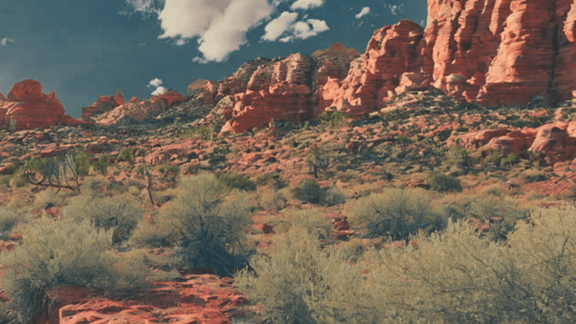 Best Rock Hunting Spots in Arizona: 2026 Rockhounding Guide - Rockhound ...